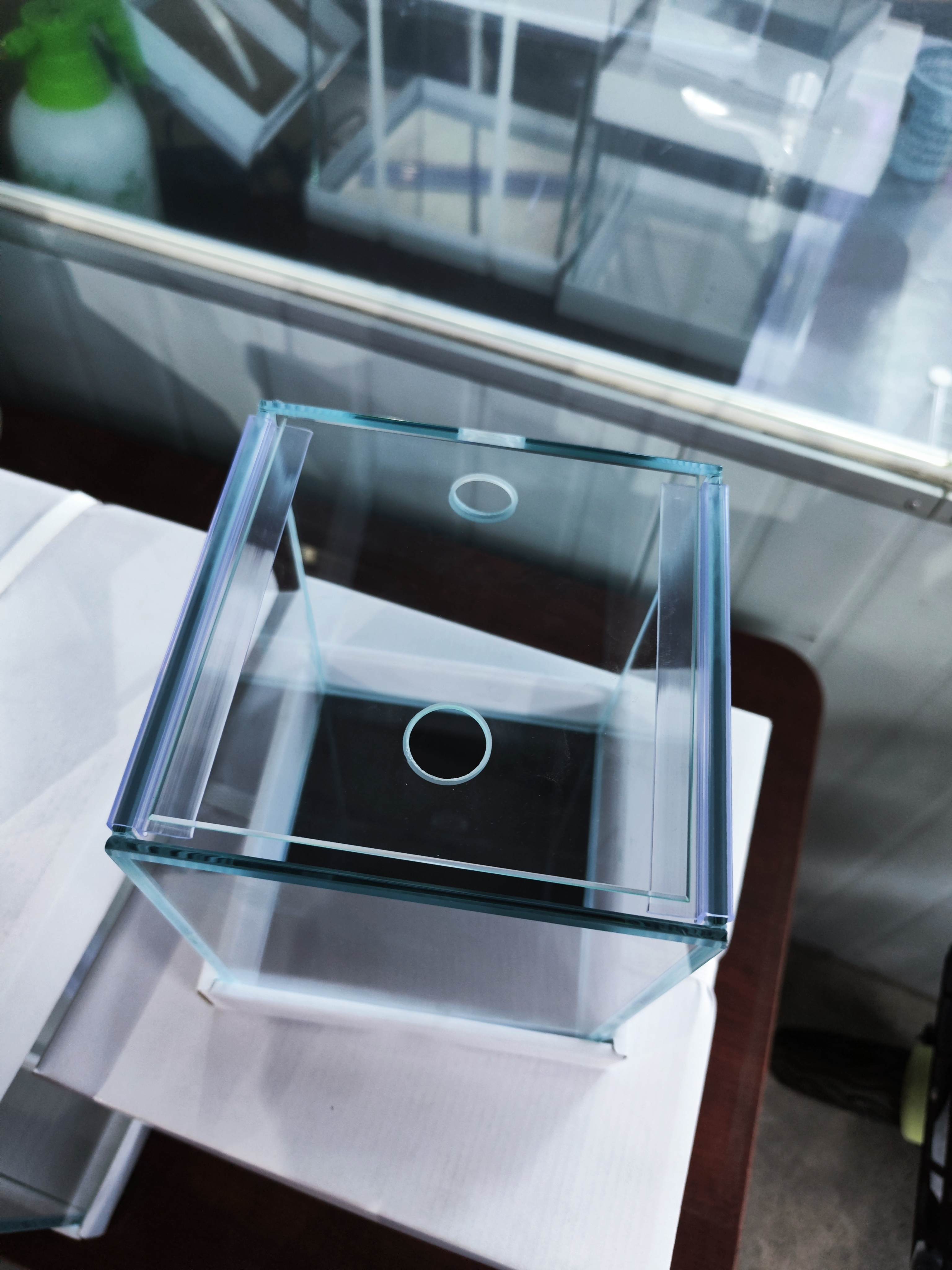 Aquatic Products – Wild Exotic Bettas